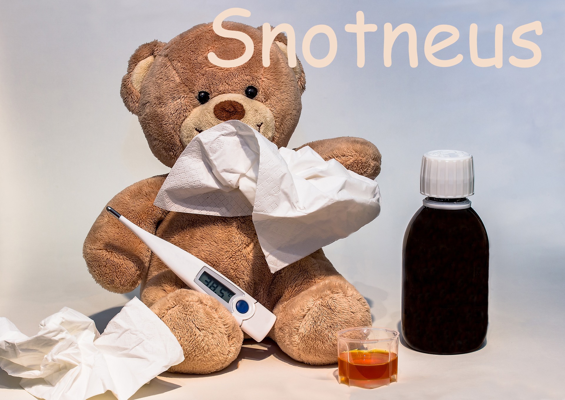 Snotneus. - Omroep Lingewaard